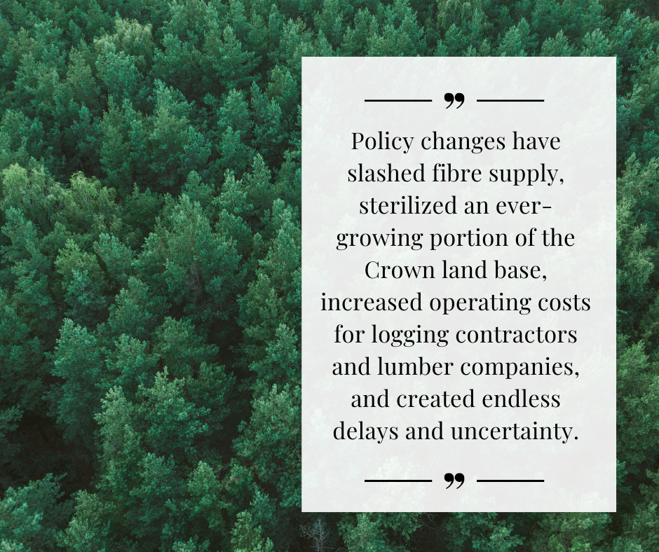 ICBA Economics OP/ED: Poor policy decisions have helped B.C.’s forestry ...